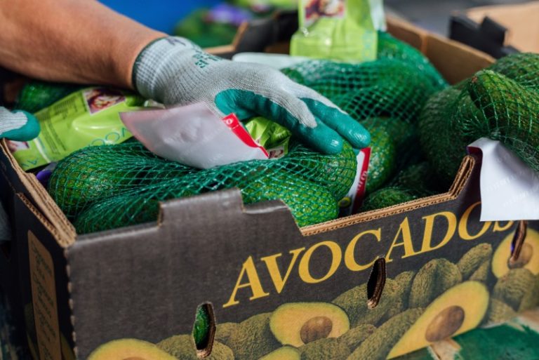Retail & Food Service - McDaniel Avocado Company