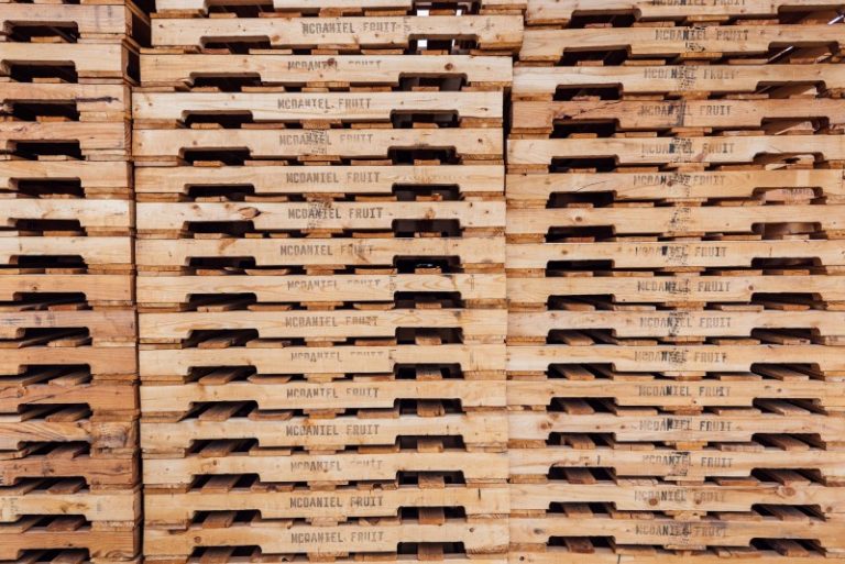 Packaging and Marketing Options - McDaniel Avocado Company